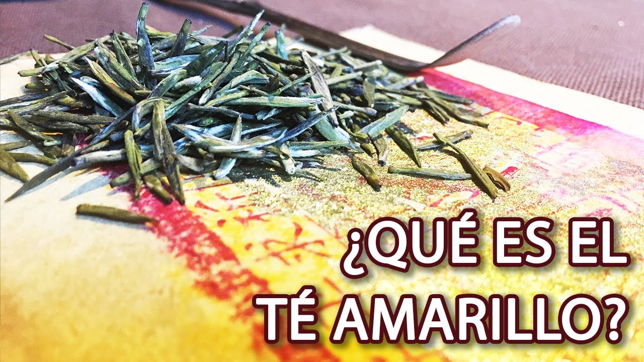 Té Amarillo: Descubre los beneficios y propiedades de esta saludable ...