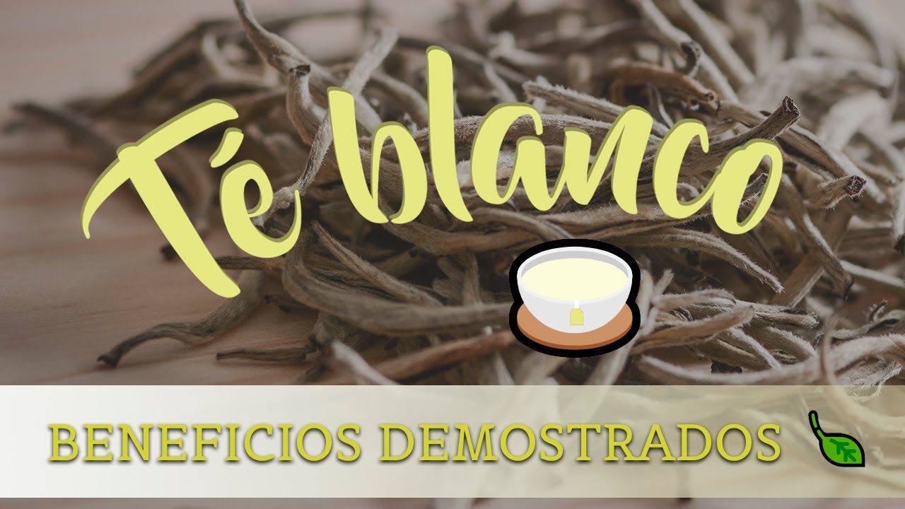 Descubre por qué el té blanco es la bebida más saludable del momento ...