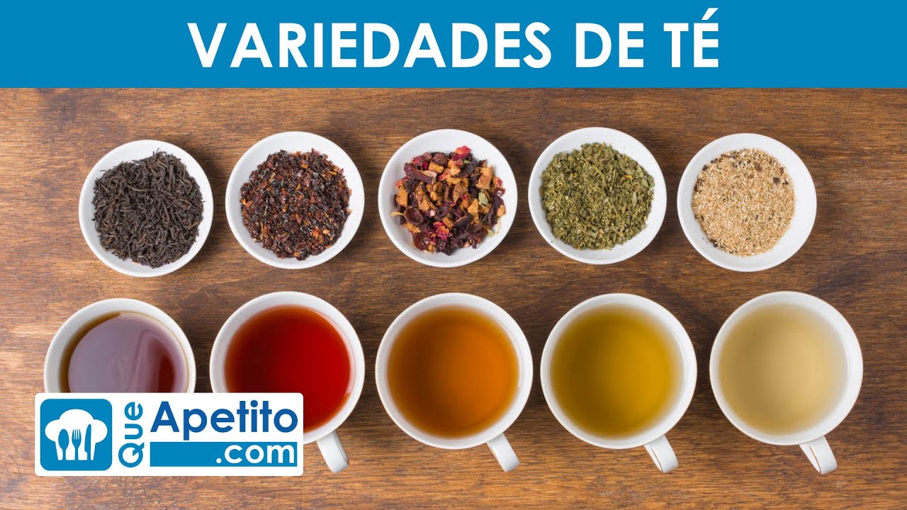 Descubre qué se considera té real: Todo lo que necesitas saber sobre el ...